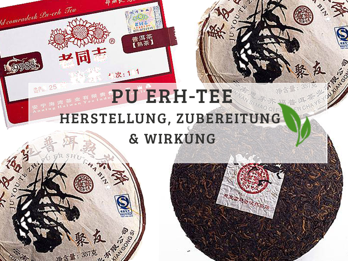 Pu-Erh - Tee mit langer Tradition - Teepod | Alles über Tee | Teeblog
